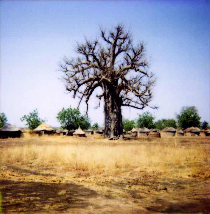 Parc National du W, Niger, 2003 - Agence VU'