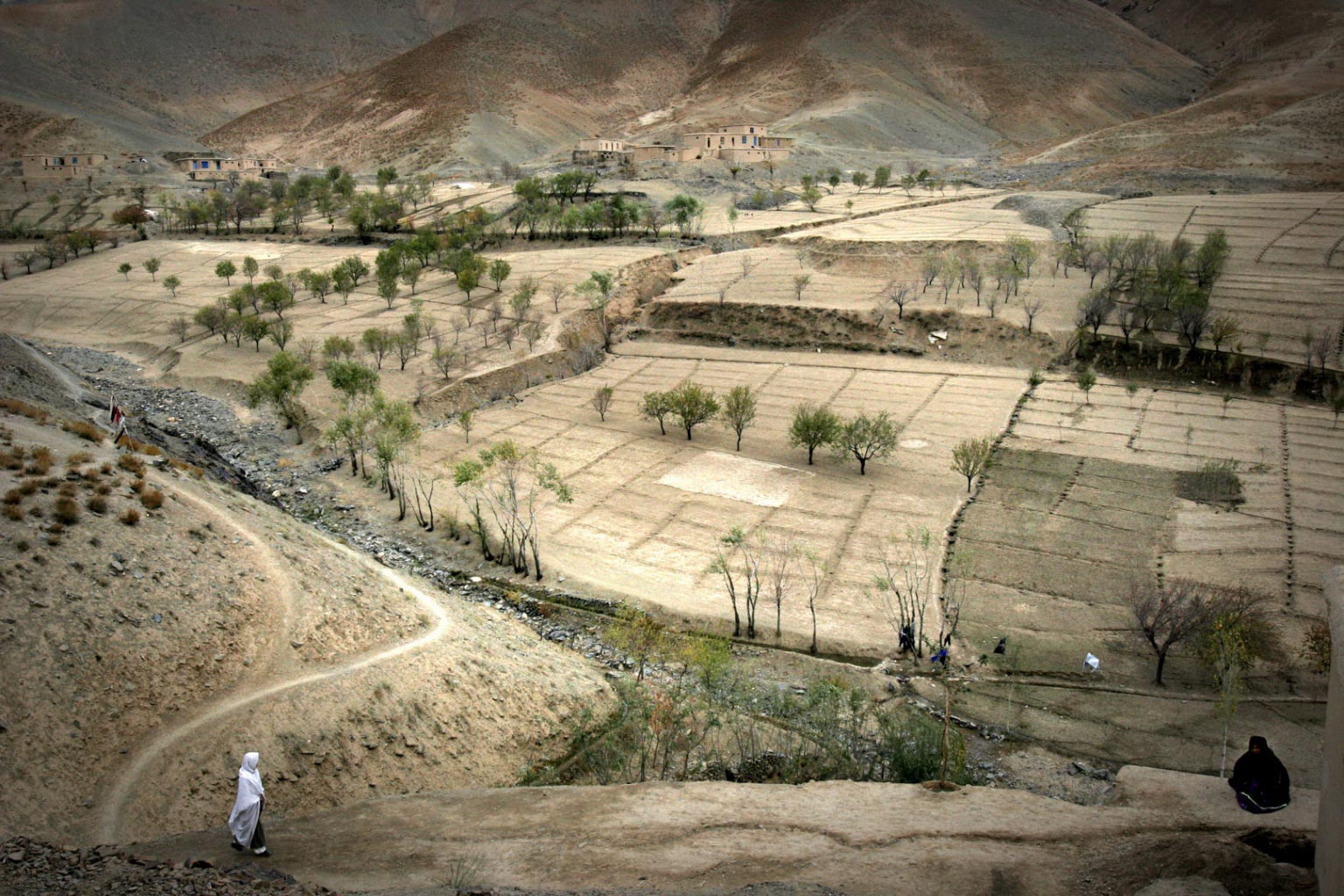 Afghanistan, Hazarajat, 2006 - Agence VU'