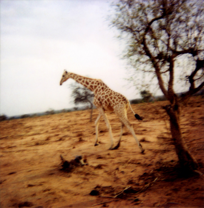 Parc National du W, Niger, 2003 - Agence VU'