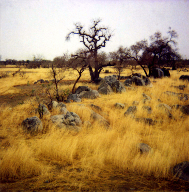 Parc National du W, Niger, 2003 - Agence VU'
