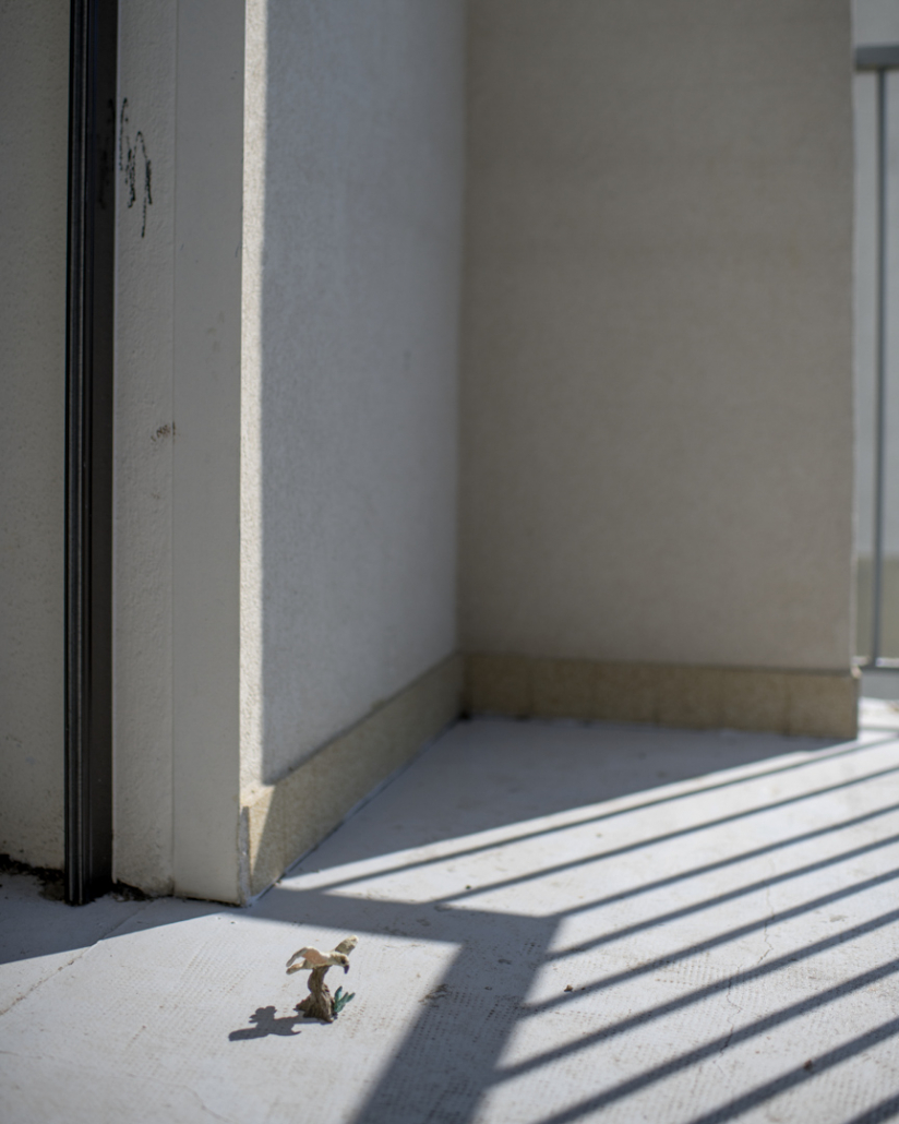 Jean-Robert Dantou — A balles réelles - Tonnerre 2017-2022 - Agence VU'